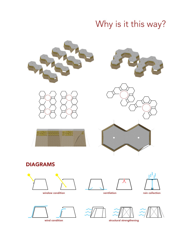 Graphic Work - Andrew Witek