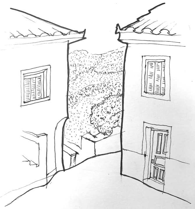 Field Sketches - Andrew Witek