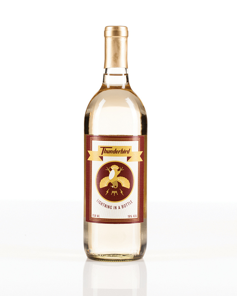 Thunderbird - Robot Cosmonaut