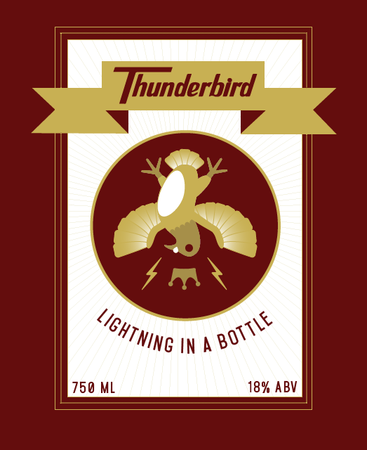 Thunderbird - Robot Cosmonaut