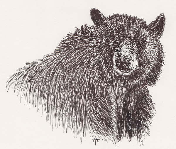 Black Bear - Stoneburner Art