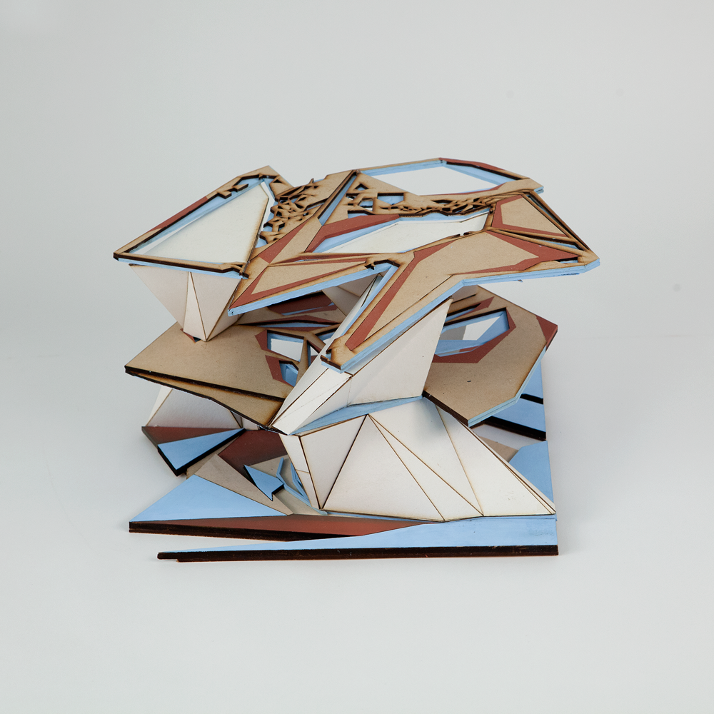 The Ageing Home - Allison Rojas