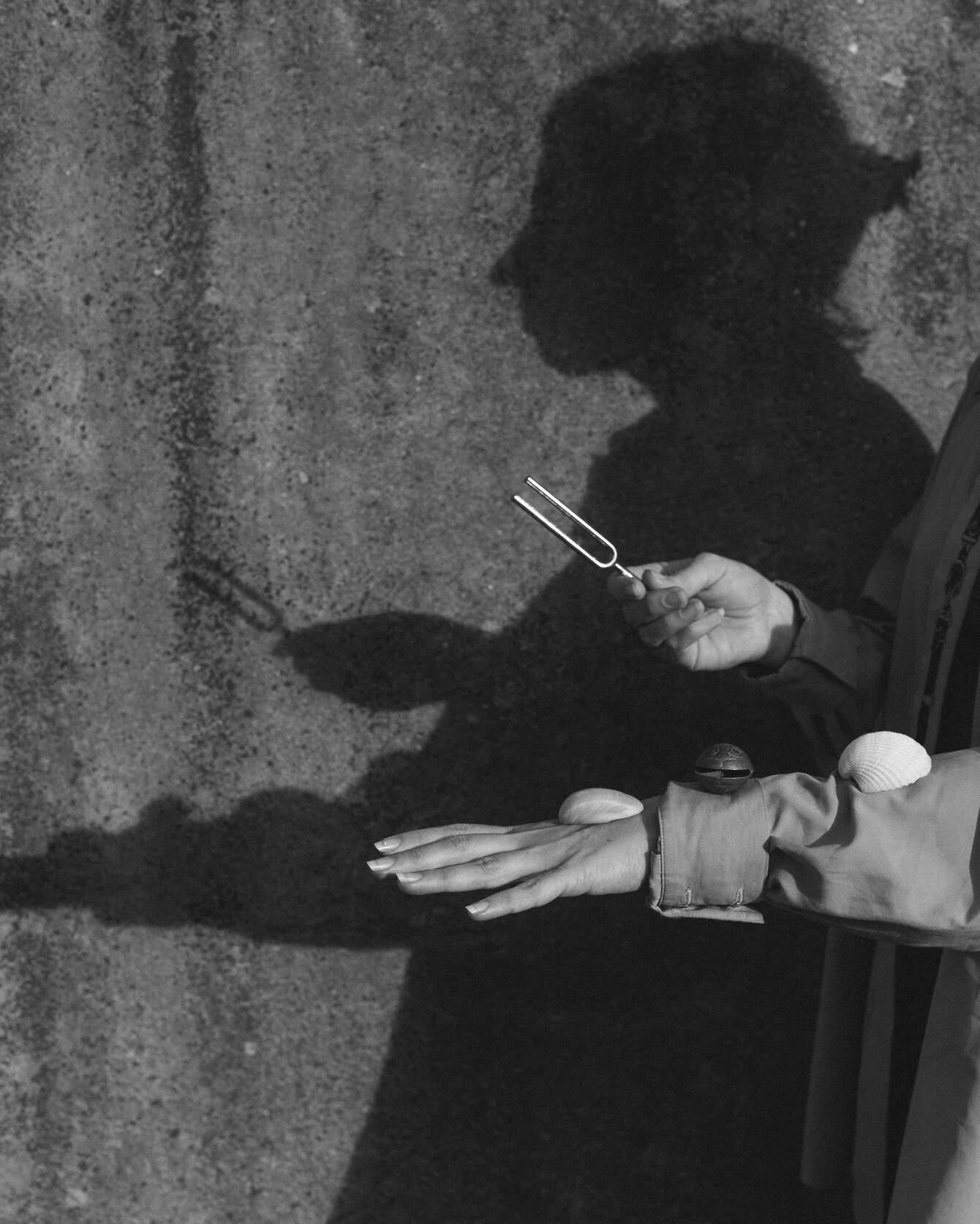 about - alexandra spence