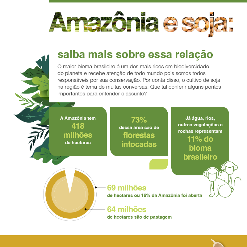AMAZON & SOY - Roy Acuña