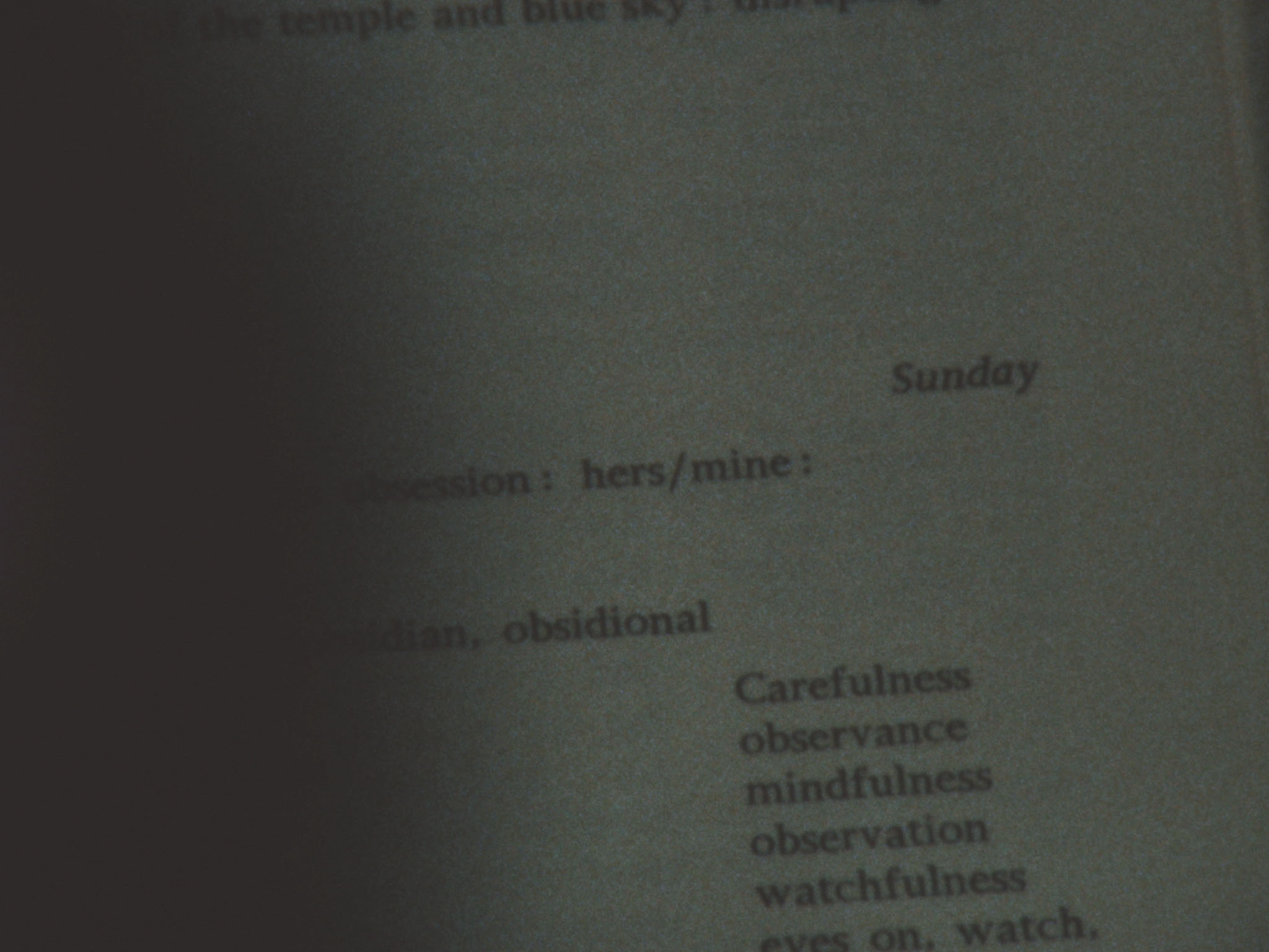 ann quin series - Blanca García