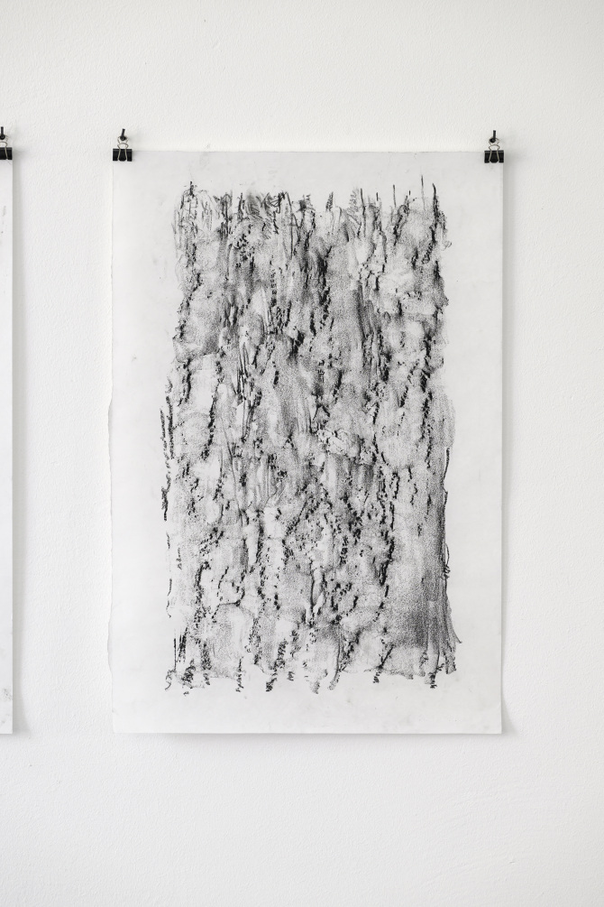 Windbloom - Daniel Godínez Nivón