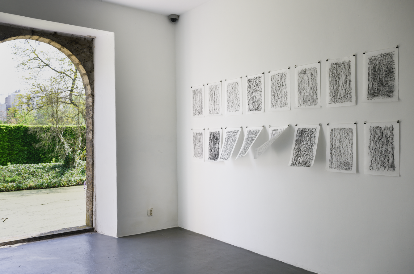 Windbloom - Daniel Godínez Nivón