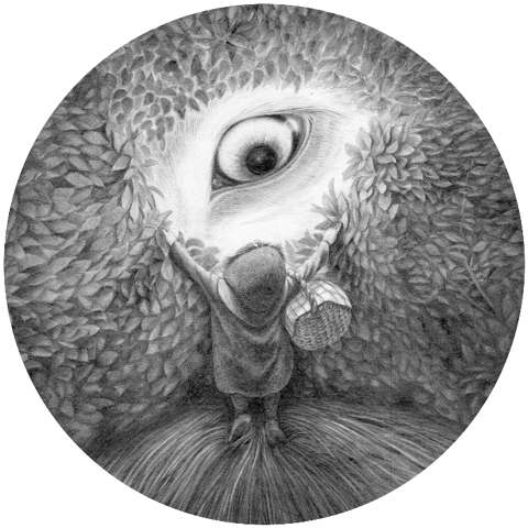 Robin Shaw Animator & Illustrator