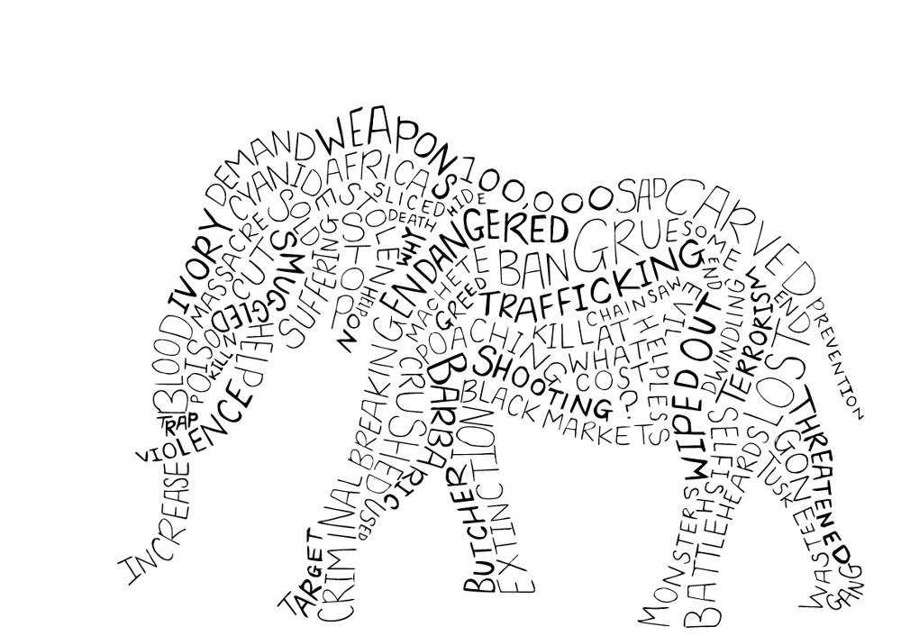 Typography - Hannah Tallantyre Design