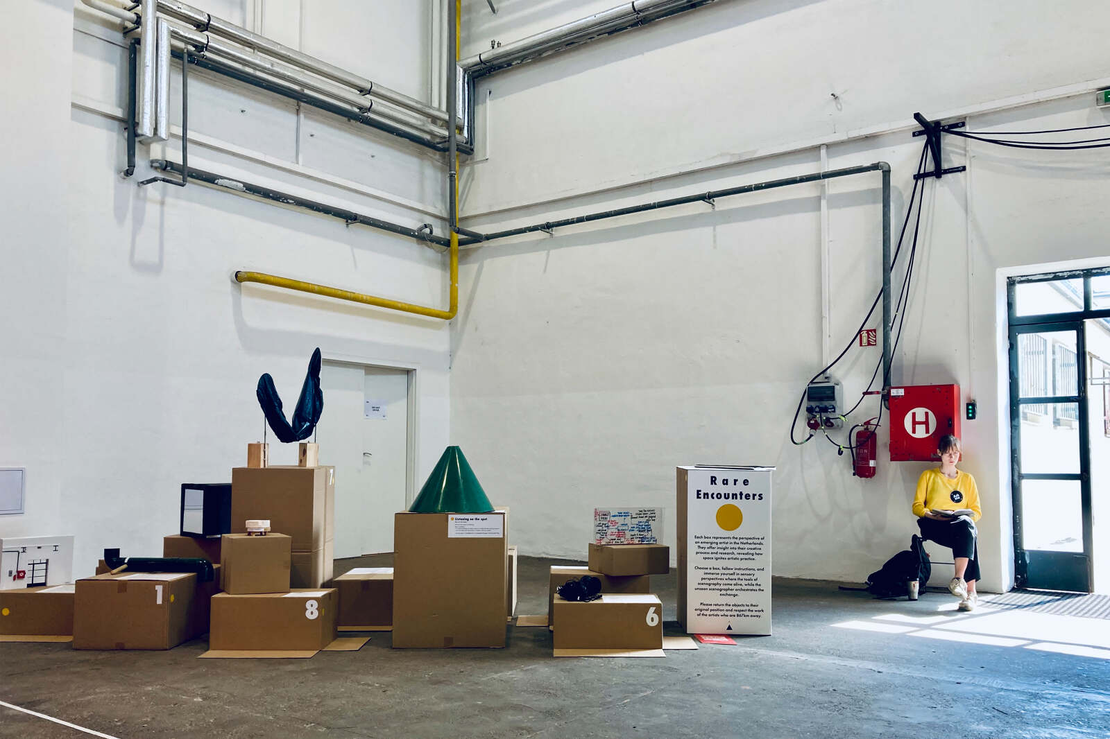 · Rare Encounters - aina · roca