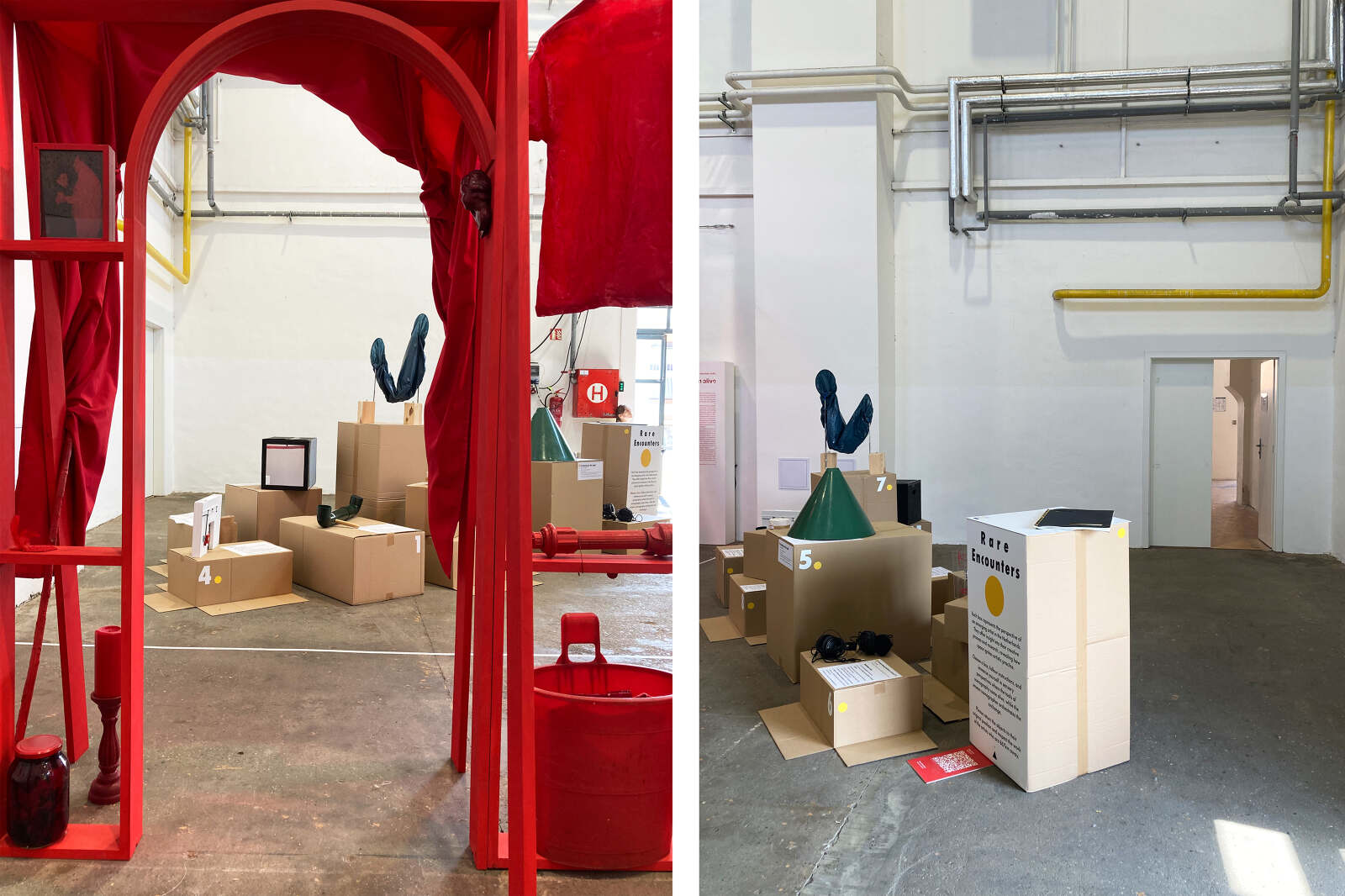 · Rare Encounters - aina · roca