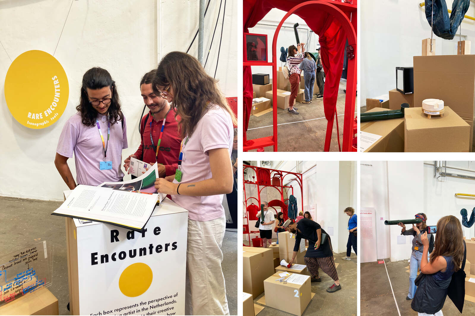 · Rare Encounters - aina · roca