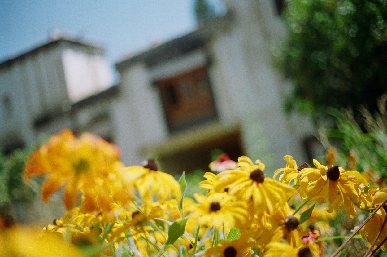 DOCUMENTING: India - Charlie Lennox Witter