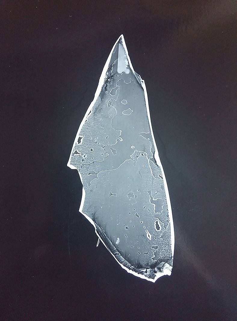 photograms and projections - Adelana Hughes