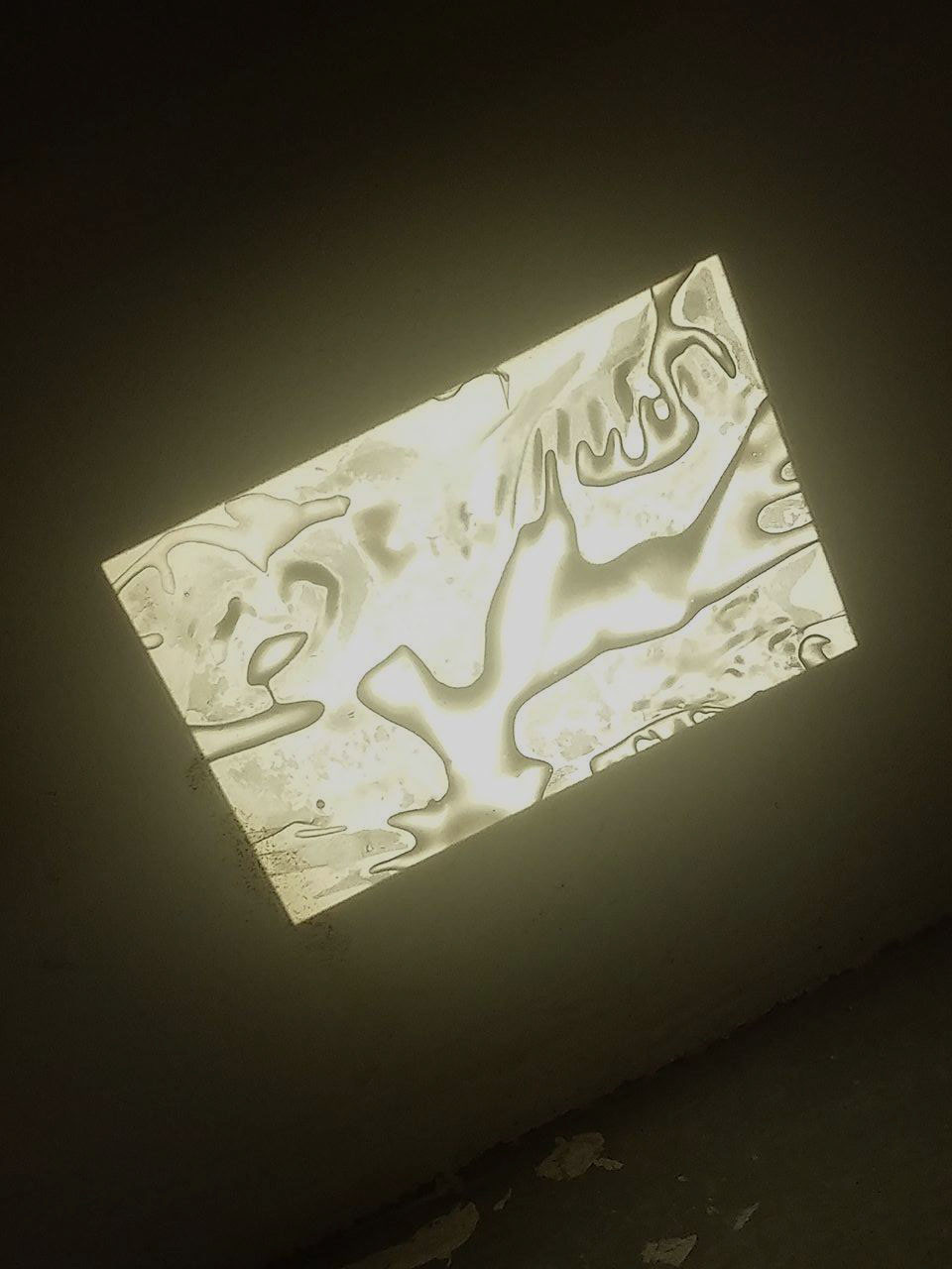 photograms and projections - Adelana Hughes