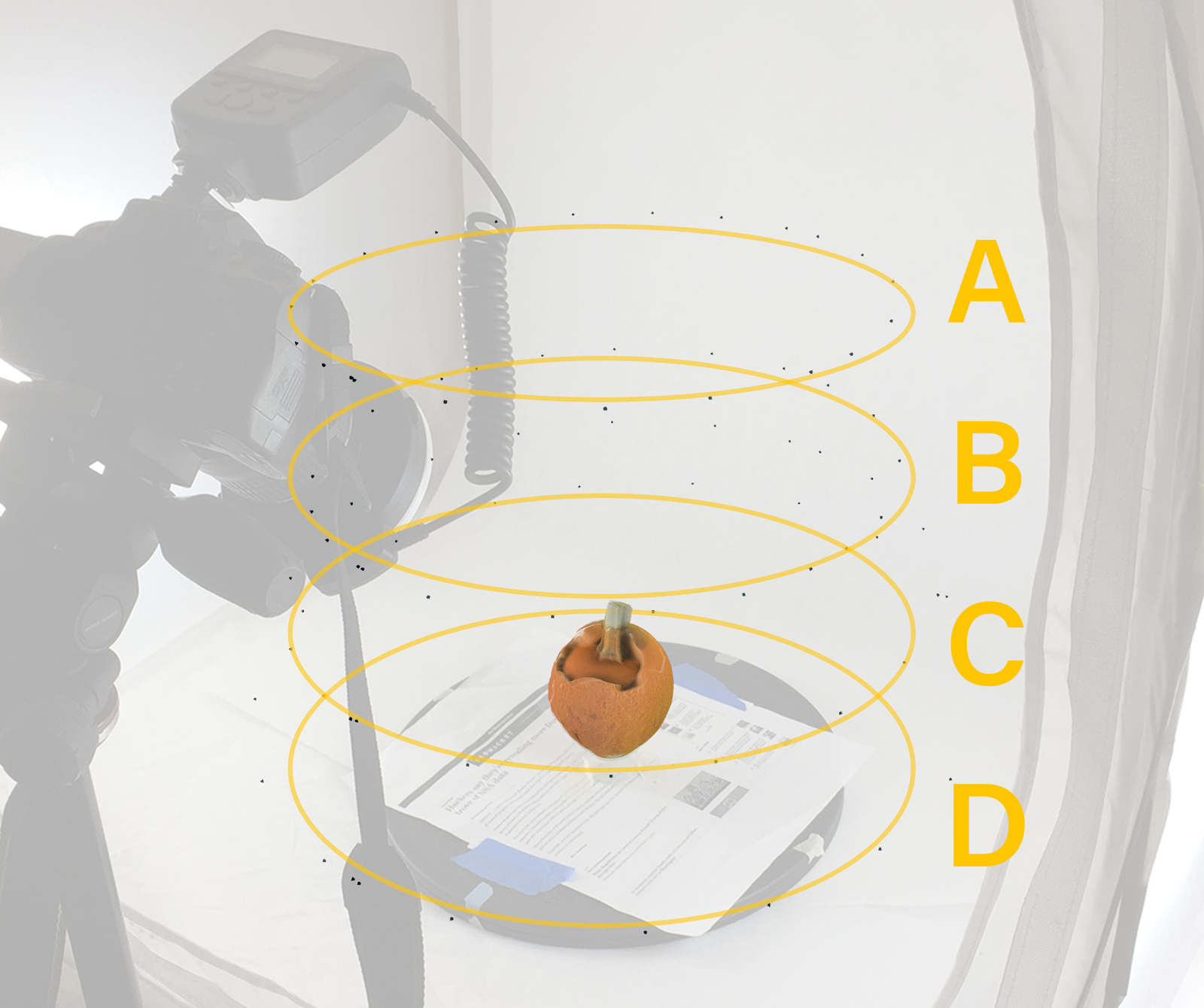 Photogrammetric Collage - PHYGITAL WORLD