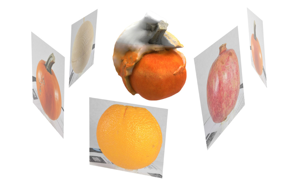 Photogrammetric Collage - PHYGITAL WORLD