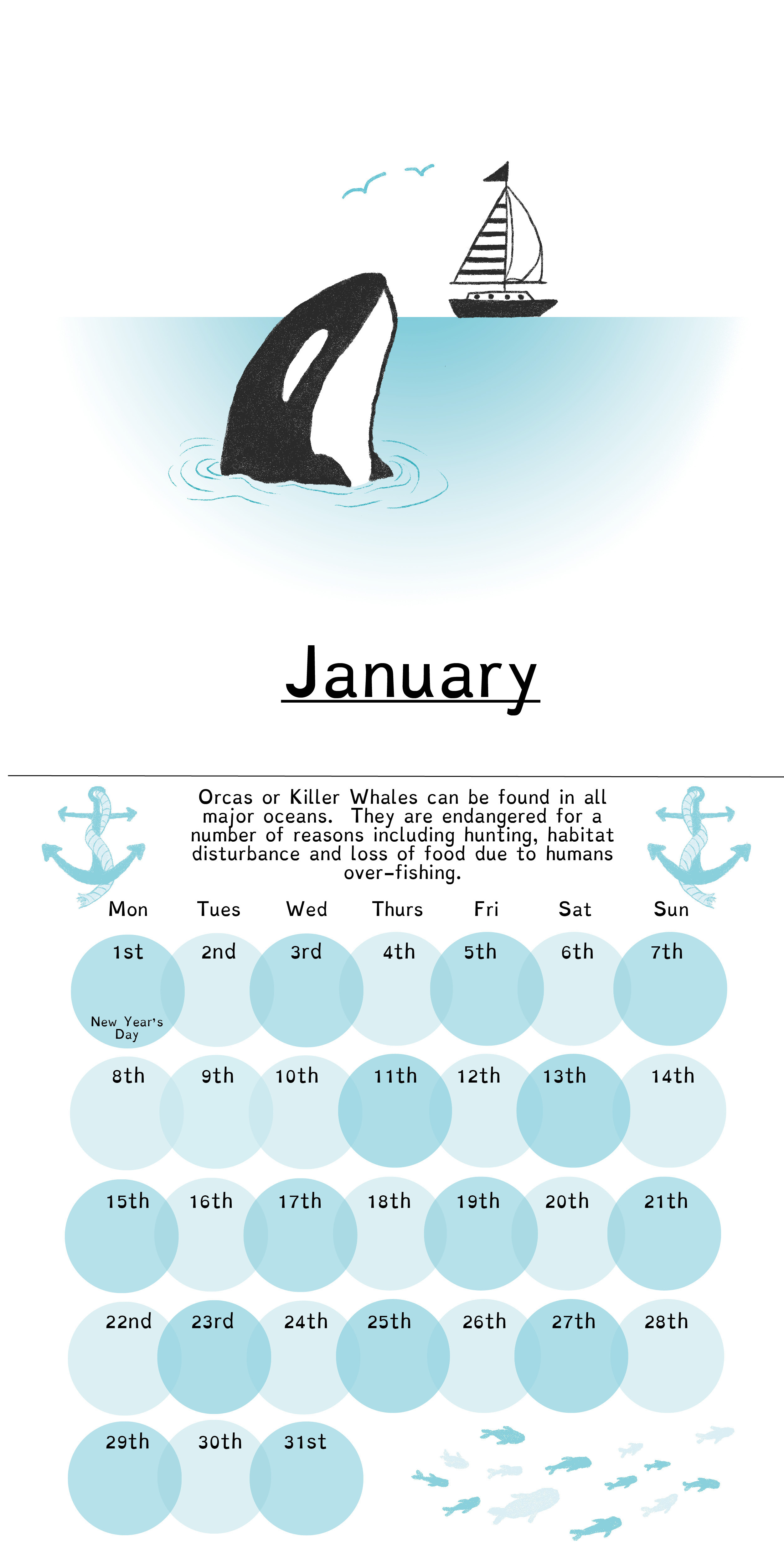 Animal Calendar - Sophieillus