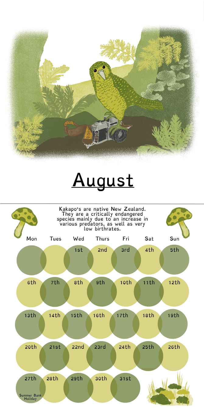 Animal Calendar - Sophieillus