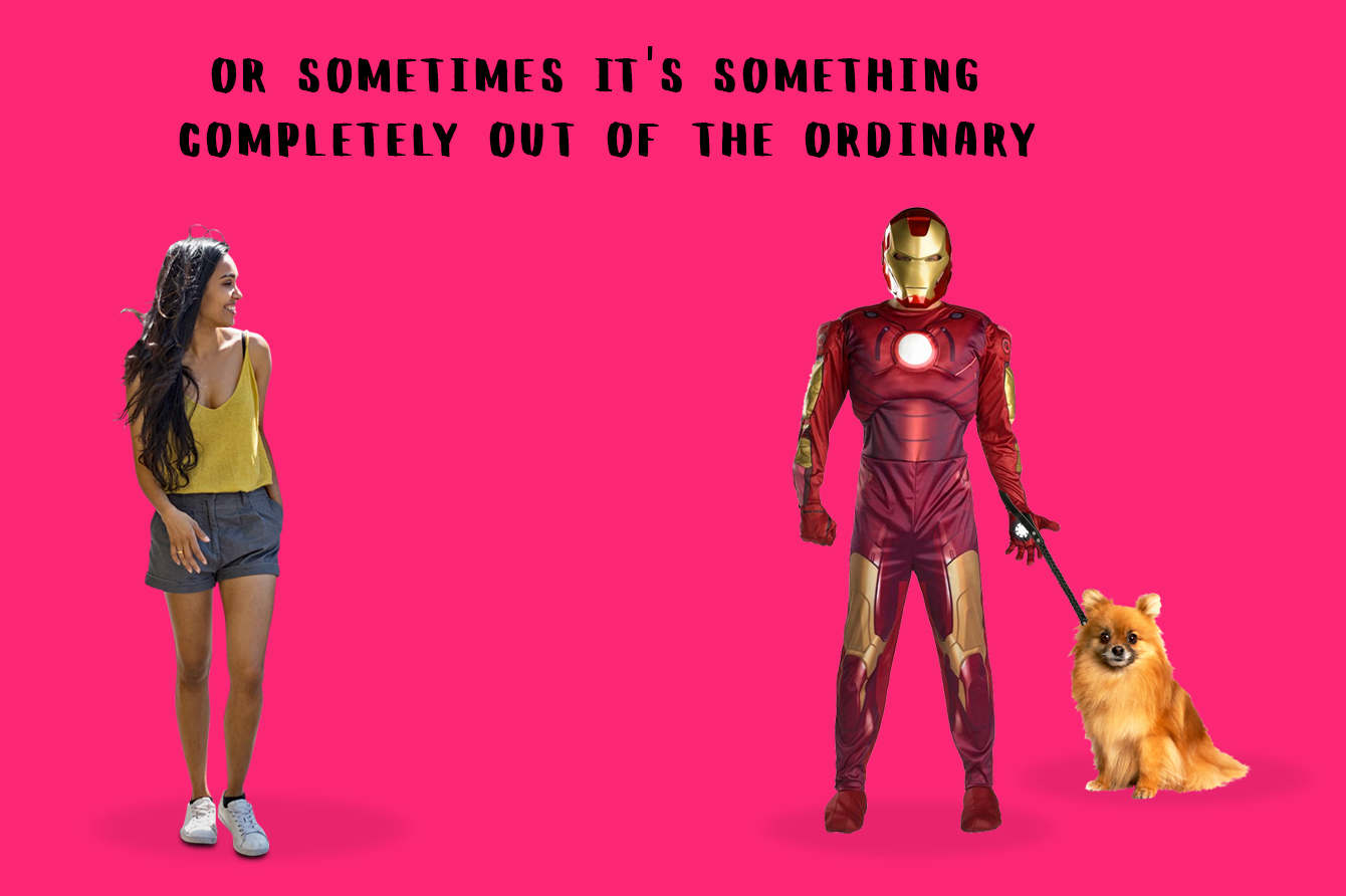 SHELTER - Jamie Koster