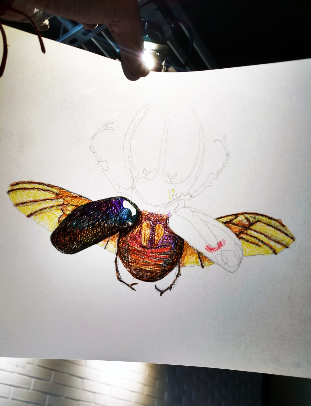 Atlas Flight - Leticia Gamboa