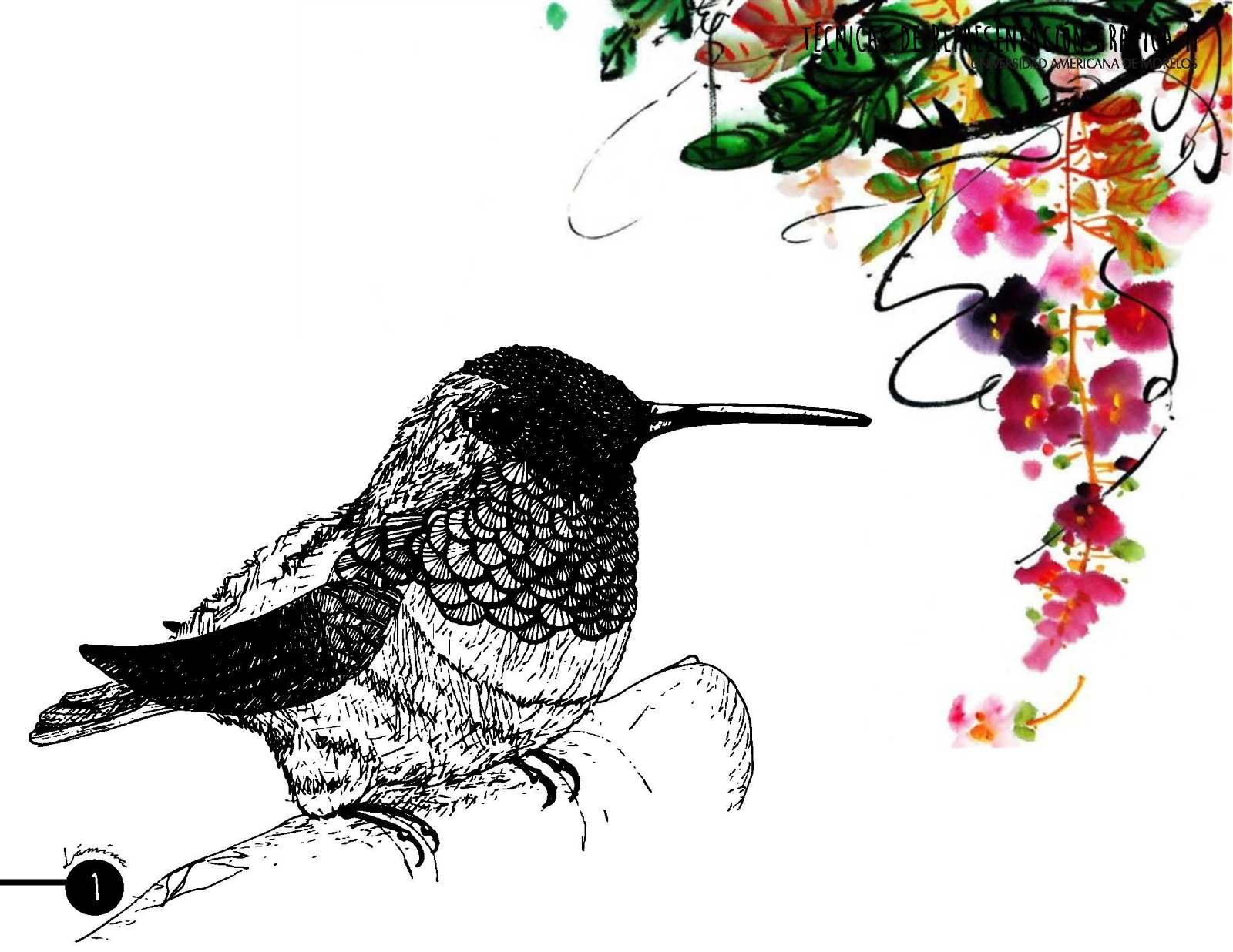 El Colibri - Leticia Gamboa