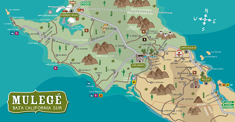 Gotbaja Maps - COCO - Valeria V Salazar