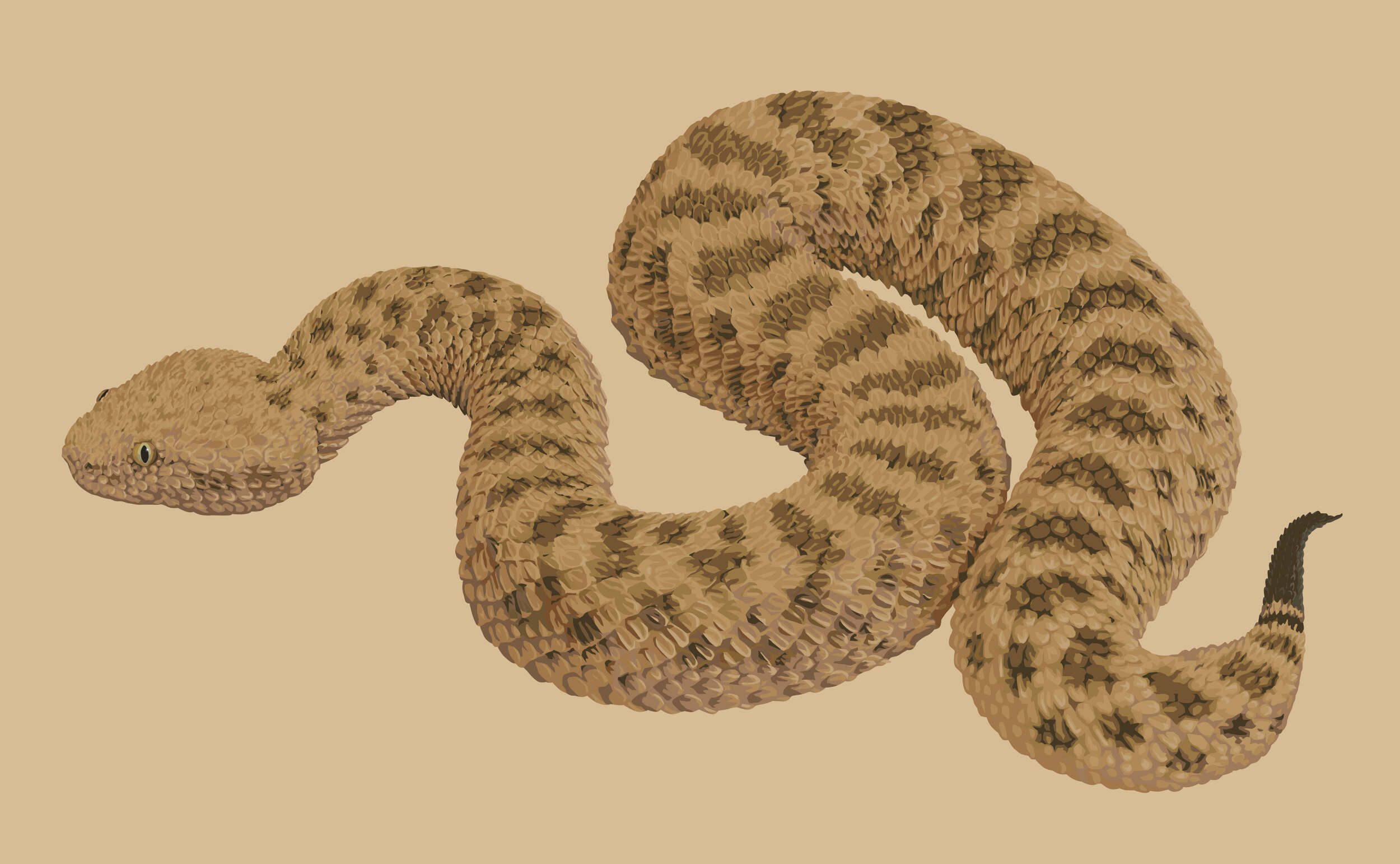 Lindsey Kernodle Artwork