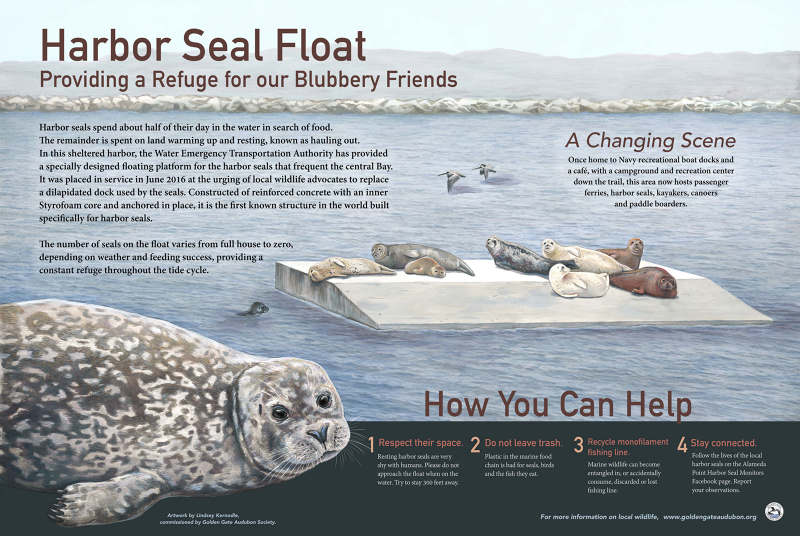 Harbor Seal Float Interpretive Panel - Lindsey Kernodle Artwork