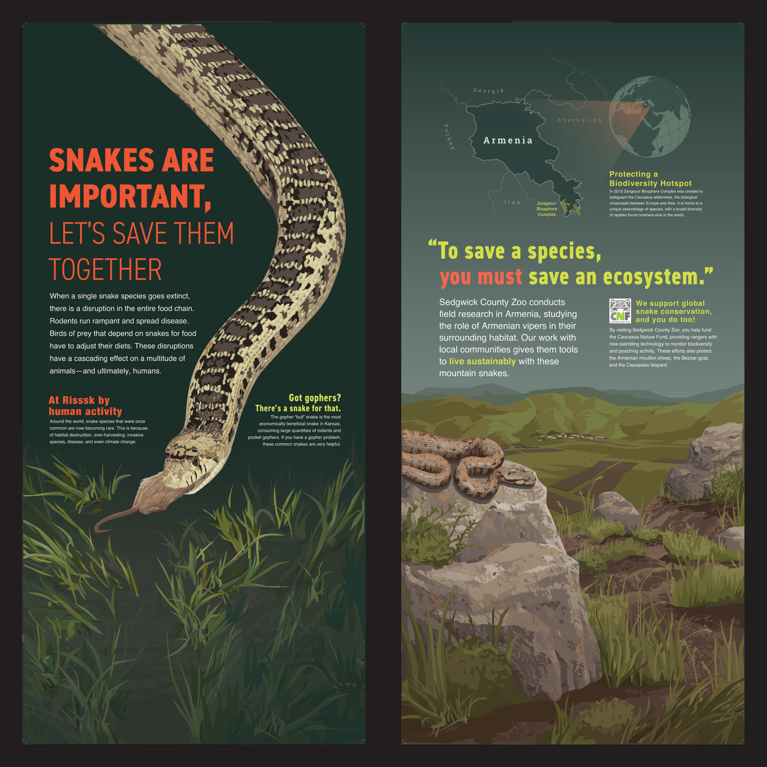 Snake Conservation Wall - Lindsey Kernodle Artwork