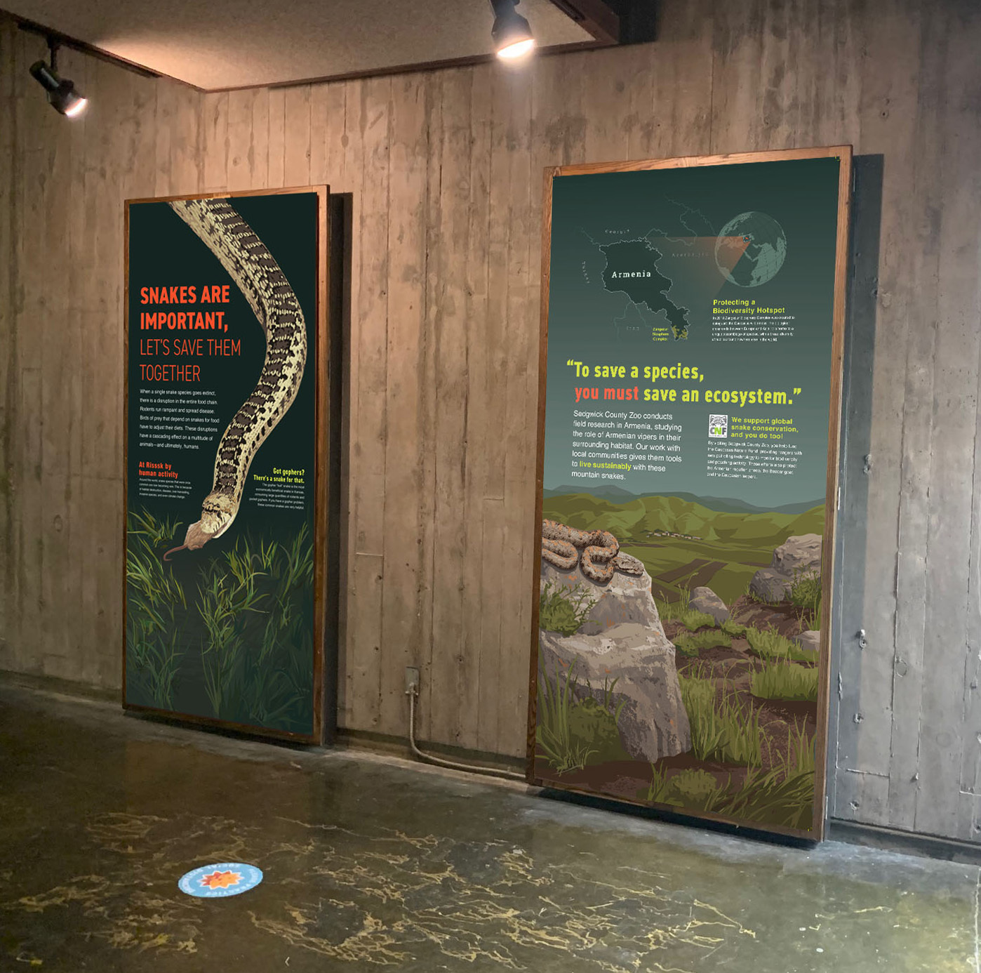 Snake Conservation Wall - Lindsey Kernodle Artwork