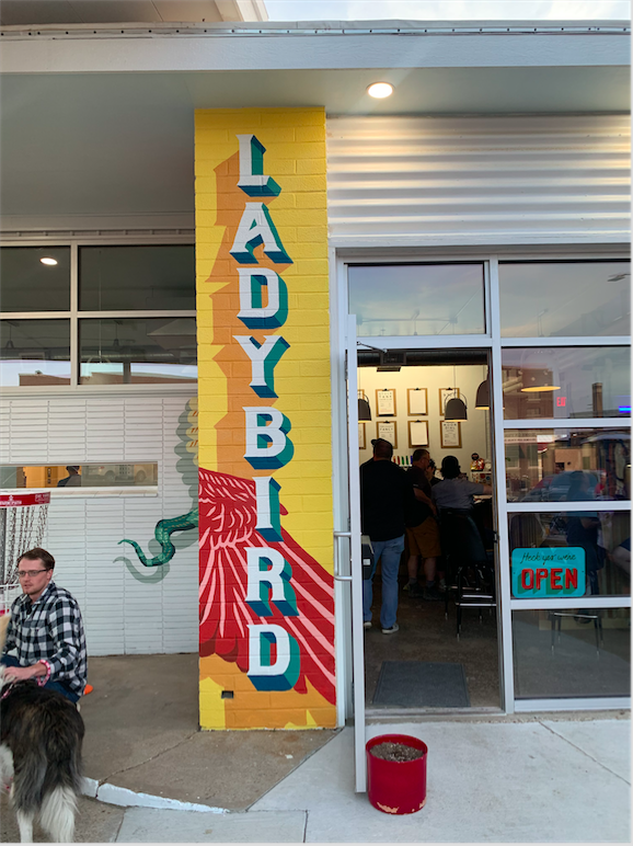 Ladybird - Lindsey Kernodle Artwork