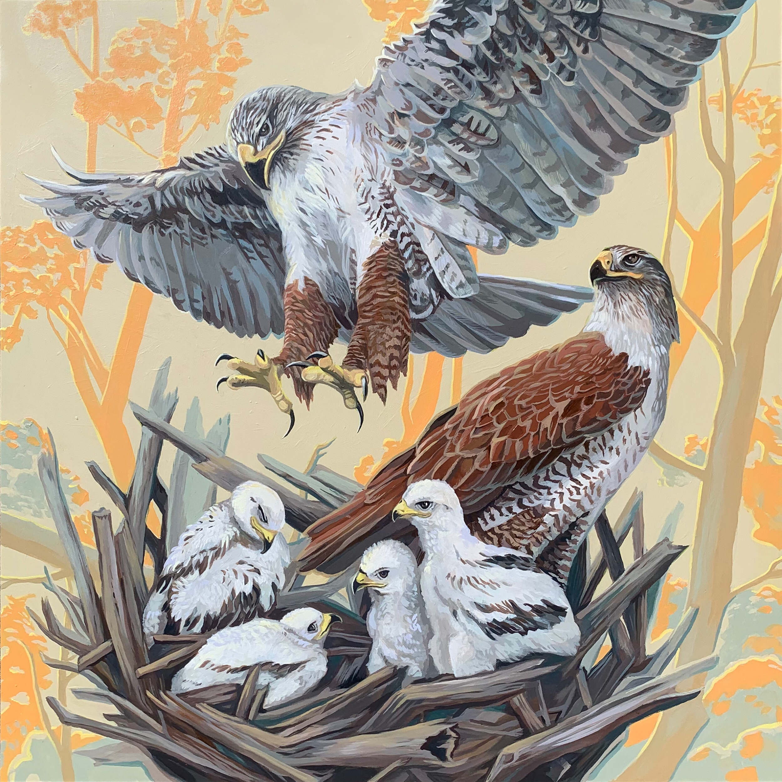 Ferruginous Hawk Nest - Lindsey Kernodle Artwork