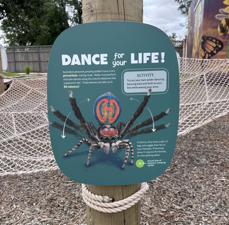 Dance for your life! spider signs - Lindsey Kernodle Artwork