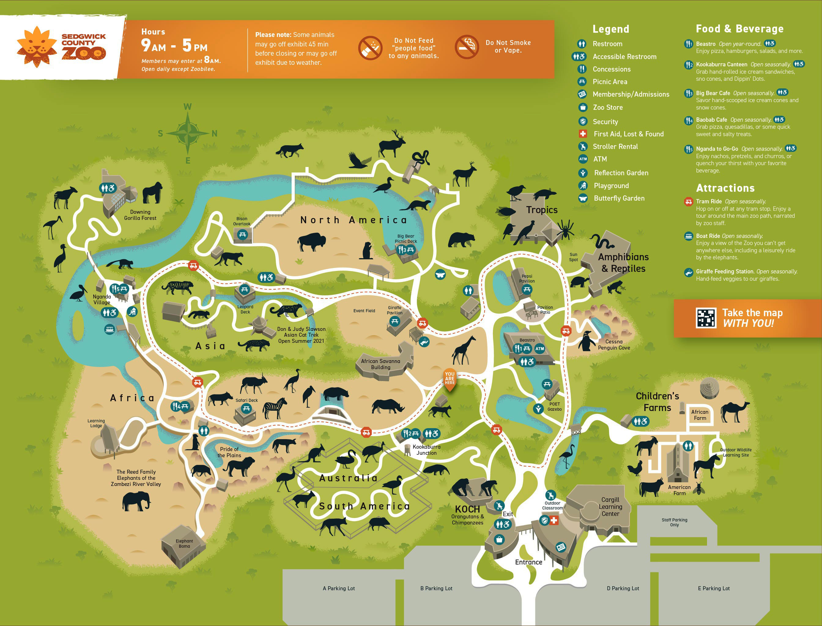 SCZ Map - Lindsey Kernodle Artwork