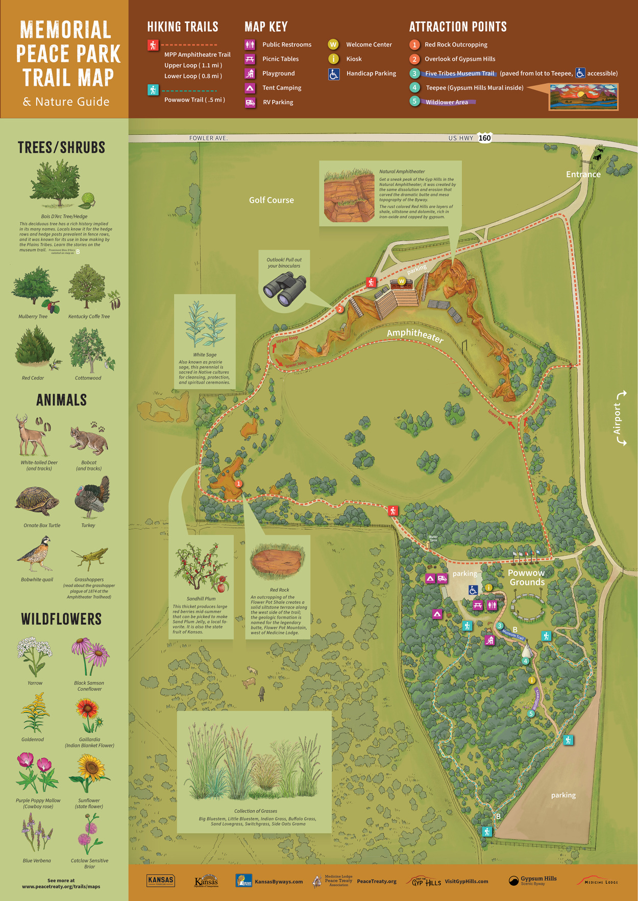 Trail Map - Lindsey Kernodle Artwork