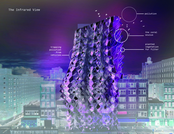 Coralvolution - Dissa Pidanti Raras