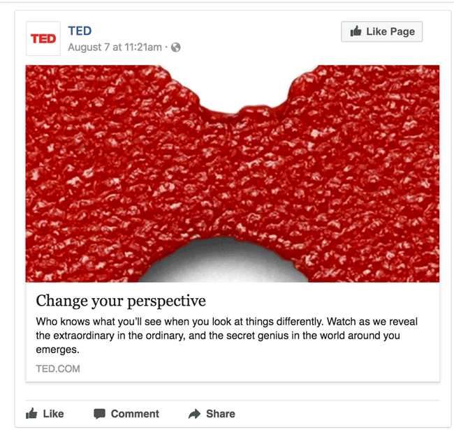 TED design video series | launch - Paddy - Creative