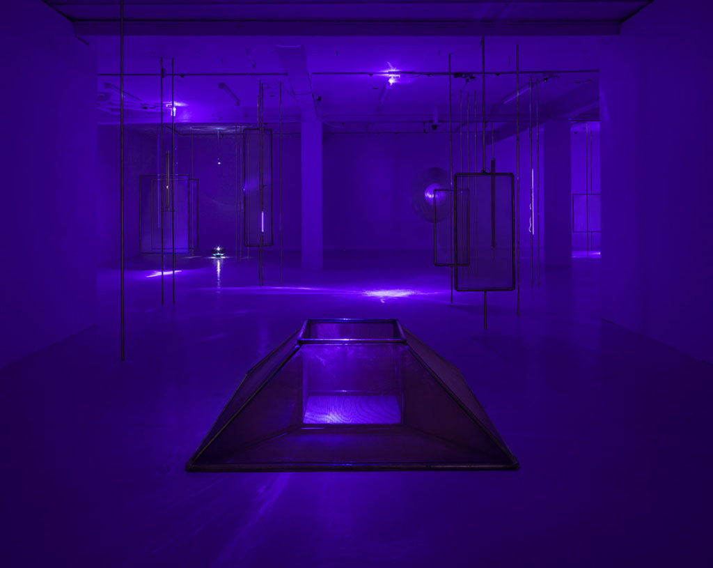 2014 Orgone (show) - astridmyntekaer.com