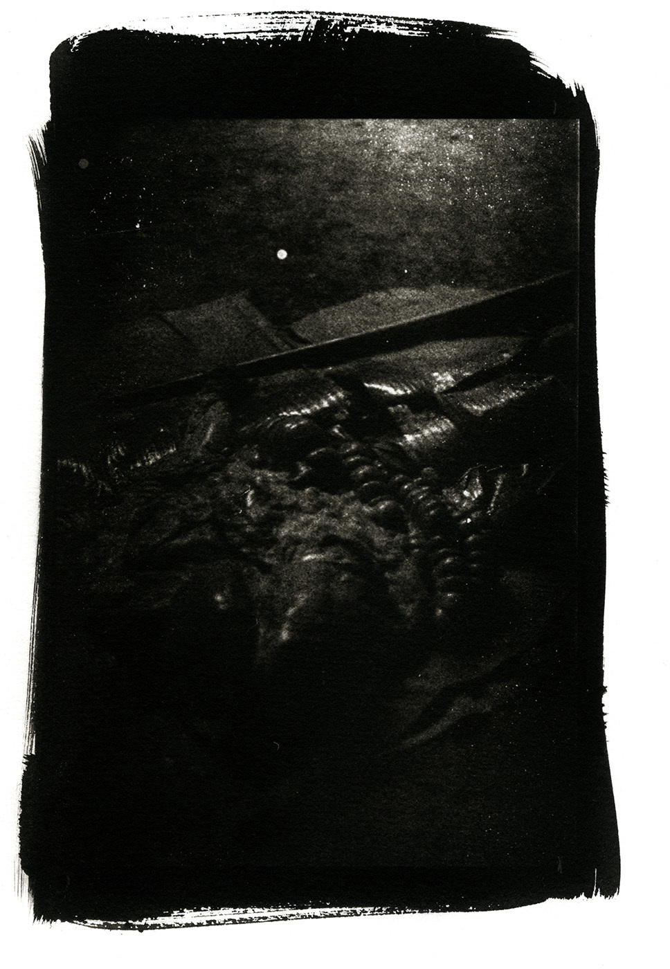 Platinum Palladium Gold Printing - Kelli M. Perletti