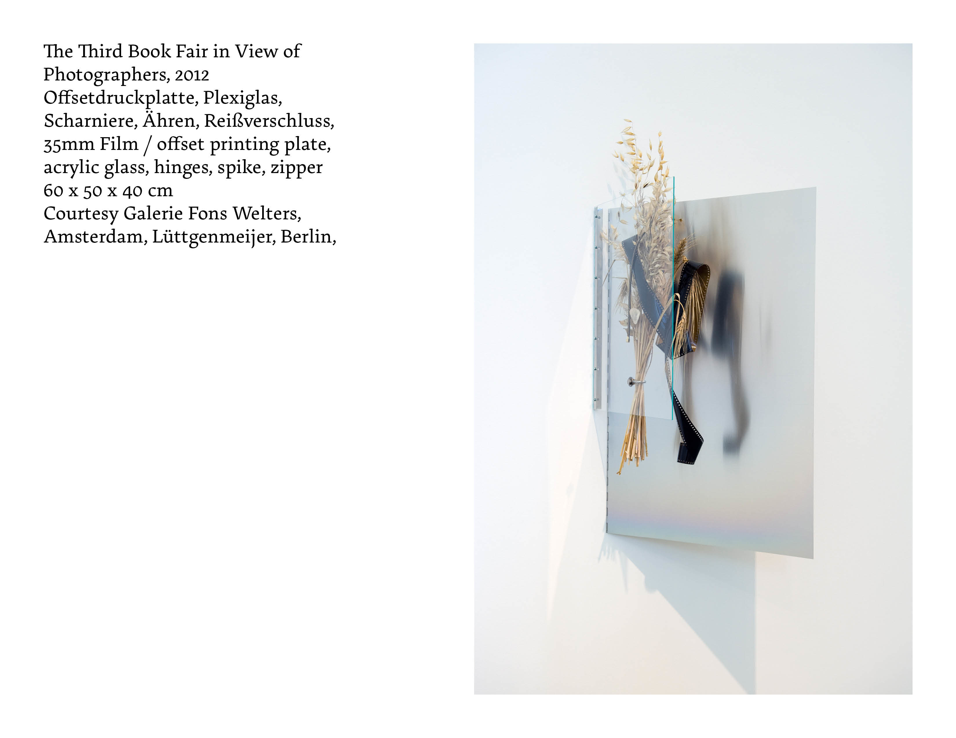 Tools and Orientations - David Jablonowski