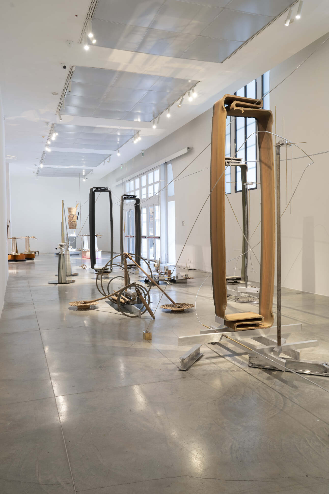 The floating collection - David Jablonowski