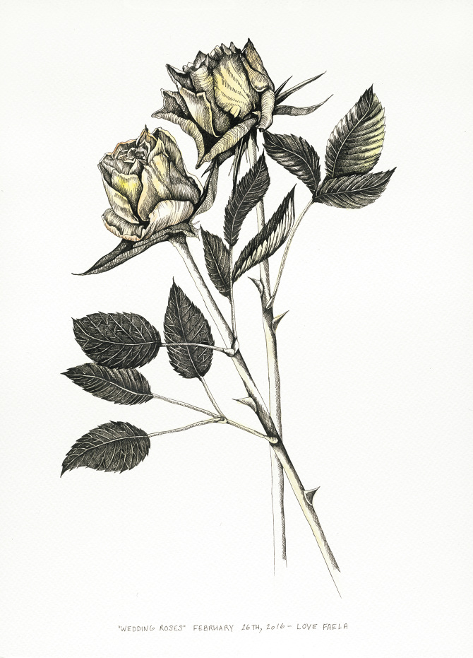 Roses - Faela Guiden