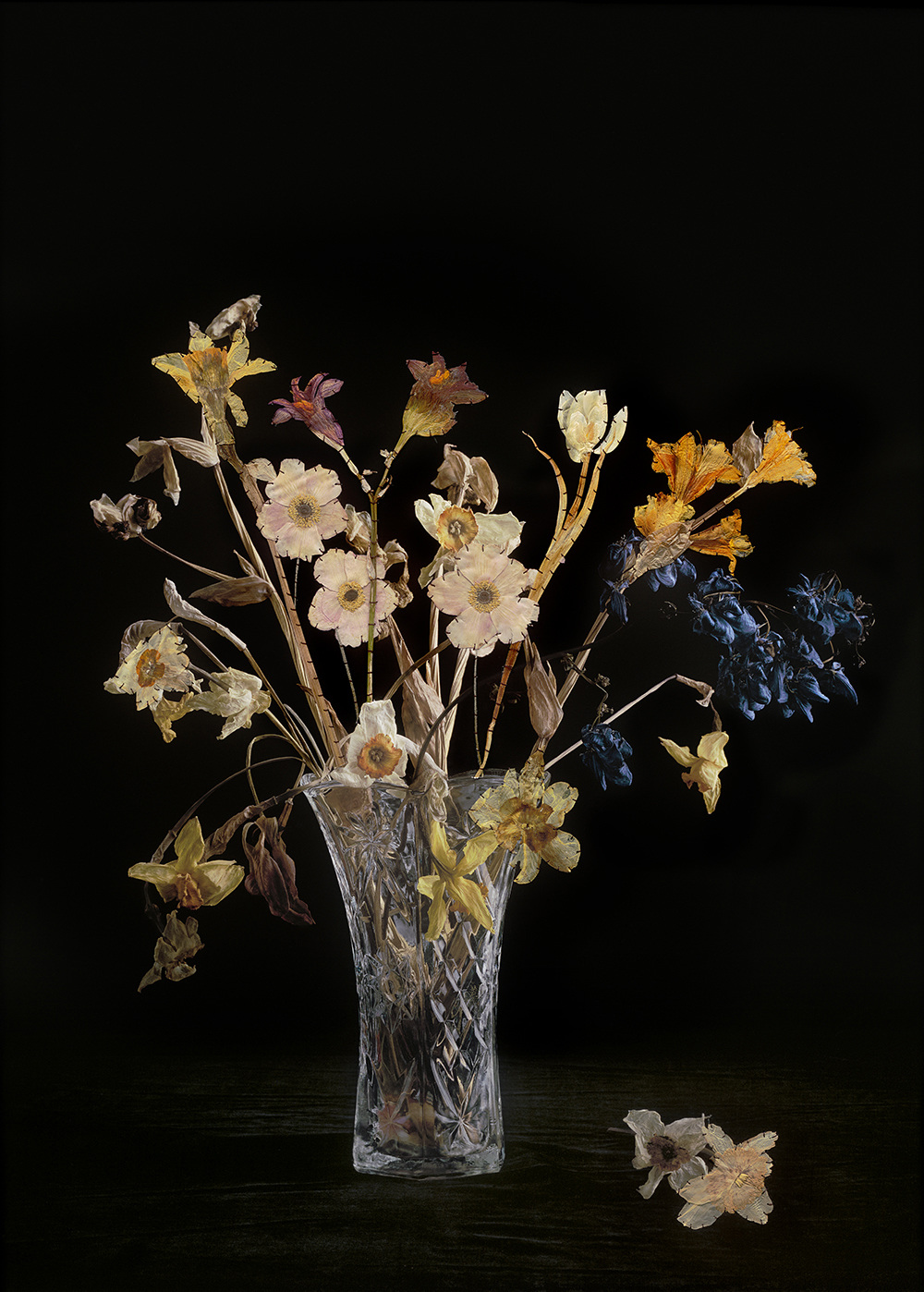Tableaux photographiques - catherinearsenault.ca