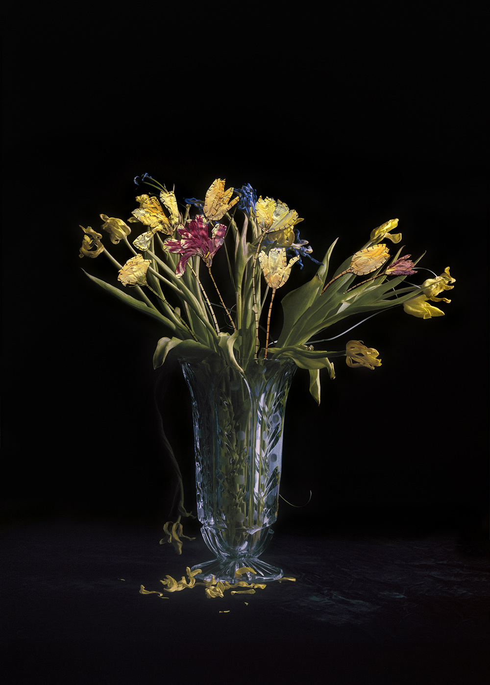 Tableaux photographiques - catherinearsenault.ca