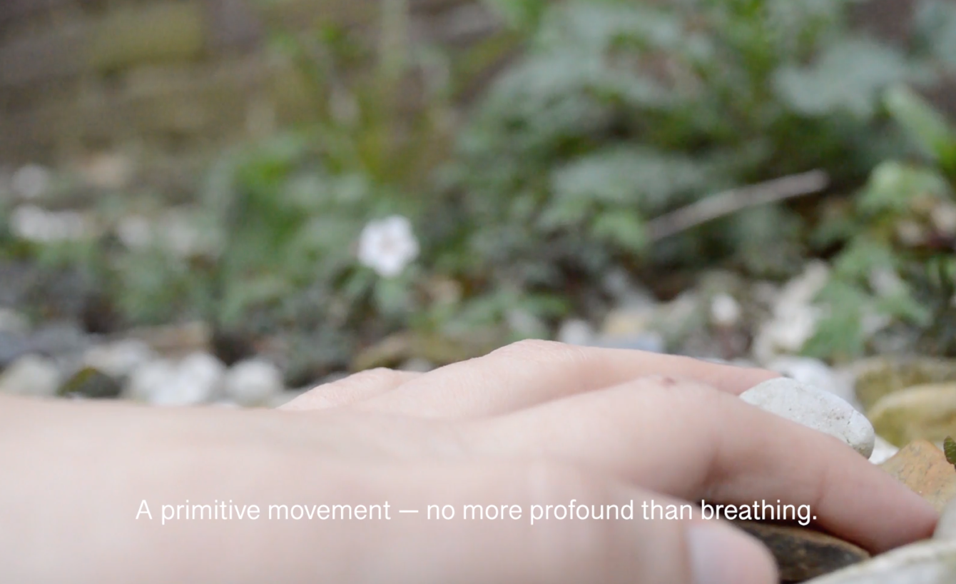 The angle that, for all its gracelessness, is so light - Hannah Dawn ...