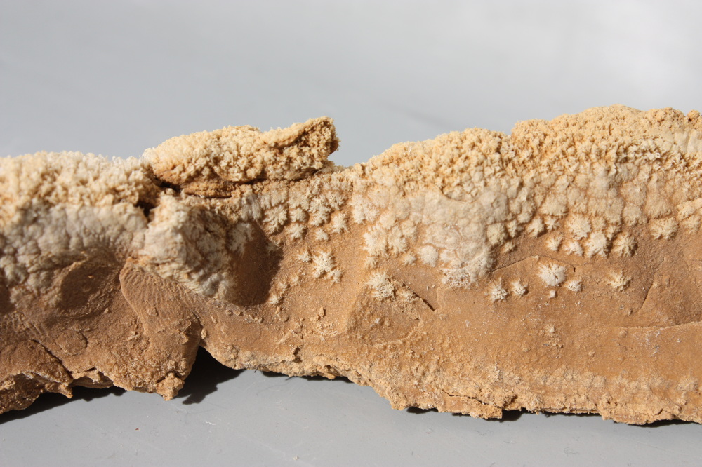 Studio Experiments - Samantha Barrow