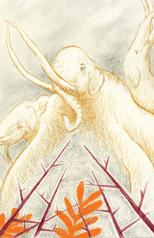 Alexander Rothman | Comics Poetry