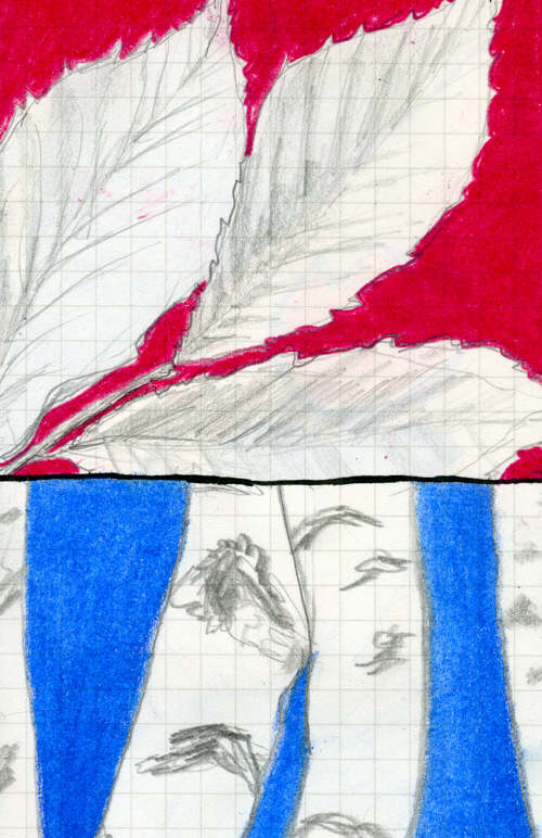 Alexander Rothman | Comics Poetry