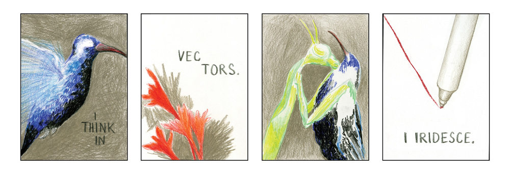 "Hummingbird and Mantis" - Alexander Rothman | Comics Poetry